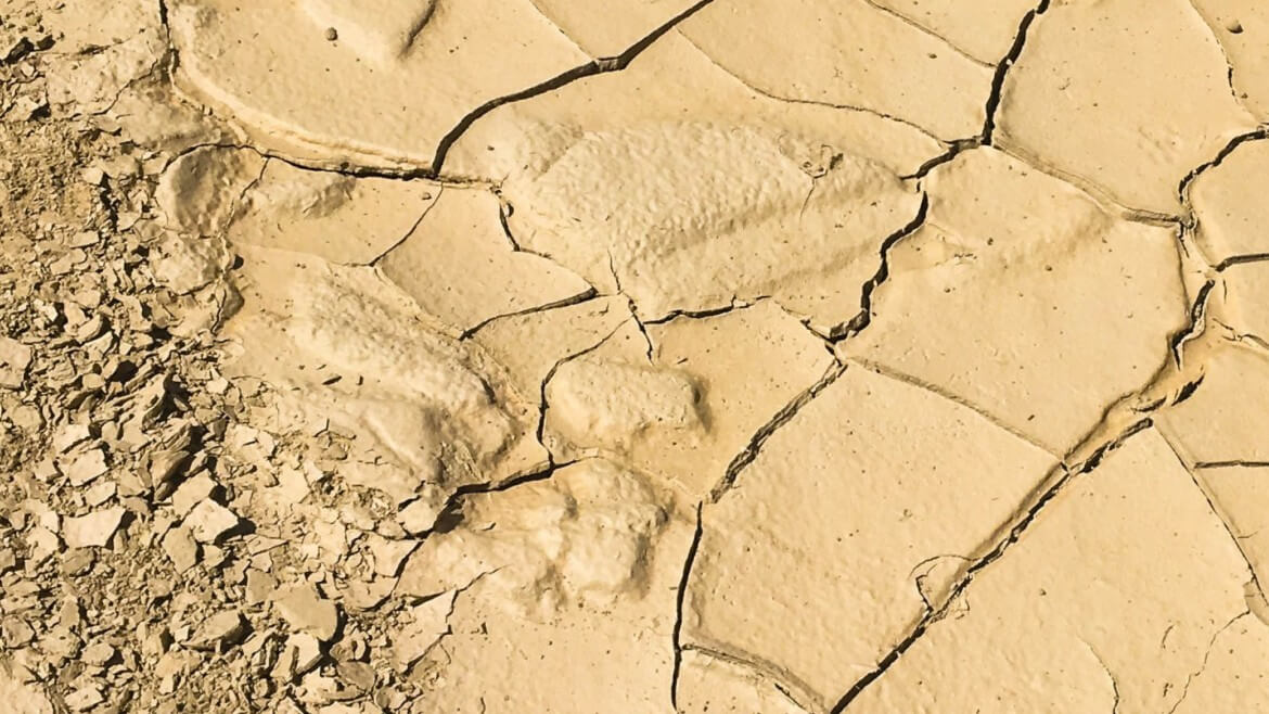 The Sustainability Of Pottery And What Potters Can Do